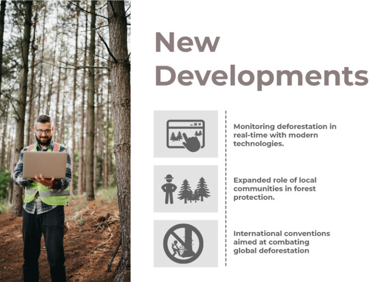 Deforestation Causes, Trends and Impact – Evoscien