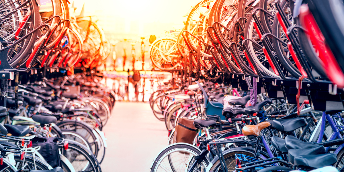 Celebrate World Bicycle Day: Discover the Joy and Environmental Benefit ...